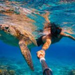 Mirissa: Guided Turtle Snorkeling Experience with Coral Reef - The Sum Up