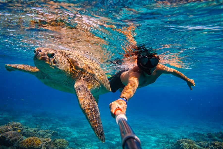 Mirissa: Guided Turtle Snorkeling Experience with Coral Reef - The Sum Up