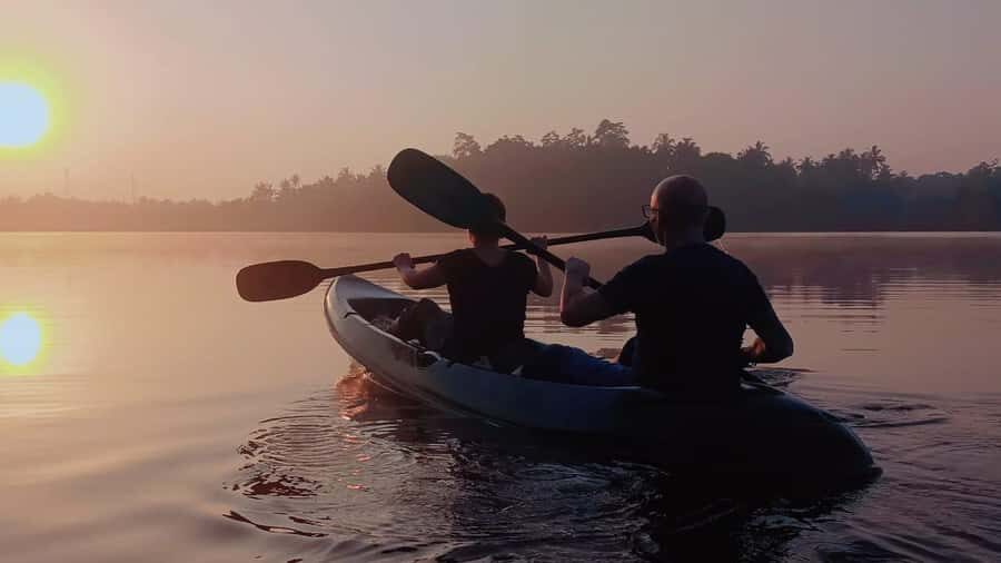 Mirissa: Kayak Safari Adventure Through Mangrove - Wildlife Encounters and Bird Watching