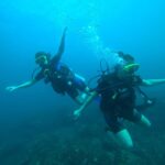 Mirissa: Scuba Diving Experience & Refreshments for Beginner - Why Travelers Love This Tour