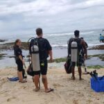 Mirissa: Scuba Diving & Shipwreck Dives for All Levels - Who Will Love This Experience