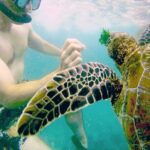 Mirissa Snorkeling Experience with Turtles - The Experience in Context