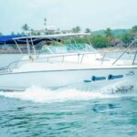 Mirissa Whale Watching Super Luxury Speedboat Private Trip - The Sum Up