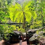 Mismaloya Waterfalls Jungle Hike Full Day Adventure - Authentic Experiences and Traveler Insights