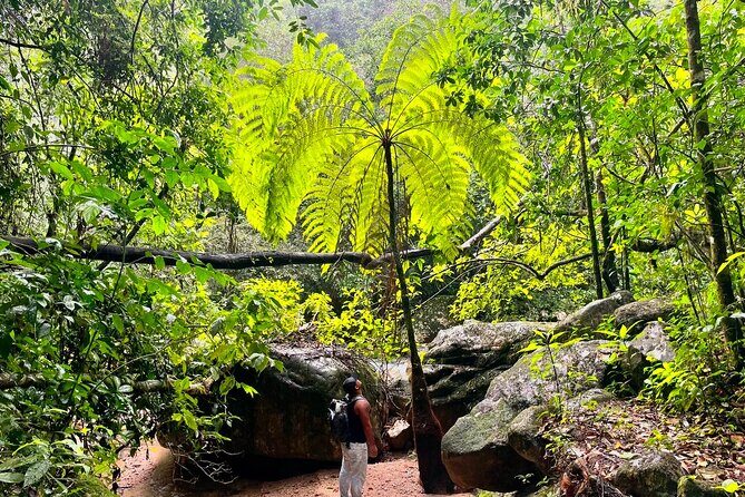Mismaloya Waterfalls Jungle Hike Full Day Adventure - Authentic Experiences and Traveler Insights