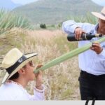 Mixer - Detailed Breakdown of the Itinerary