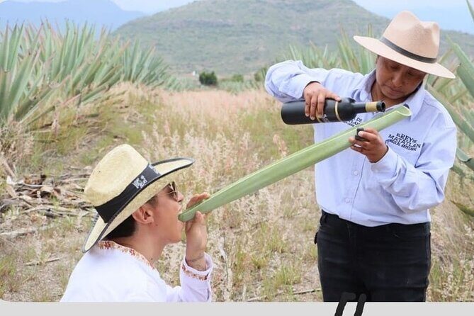 Mixer - Detailed Breakdown of the Itinerary