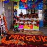 Mixquic Day of the Dead Celebration from Mexico City - The Pros & Cons Based on Traveler Feedback