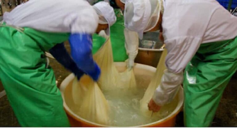 Miyagi: Hagino Sake Brewery Tour and Tasting - The Brewing Process and What You’ll Learn