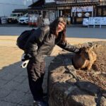 Miyajima Exploring Highlights and Sunset Cruise - Authenticity and Value