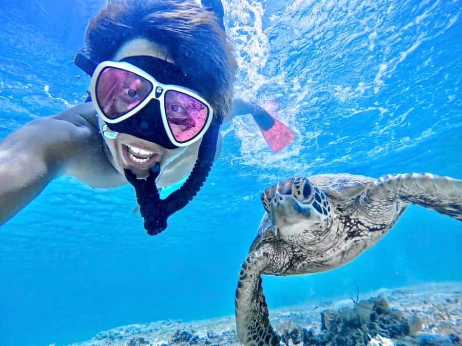 Miyako island: Sea Turtle Snorkeling Tour - Detailed Breakdown of the Experience