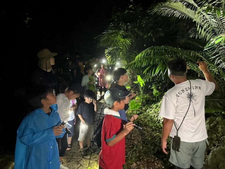 Miyakojima: Starry sky  Jungle Night Tour - The Itinerary: From Jungle to Stars