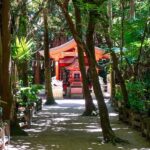 Miyazaki: Aoshima Mythology, Shrine Rituals & Coastal Rocks - What Makes This Tour Stand Out?