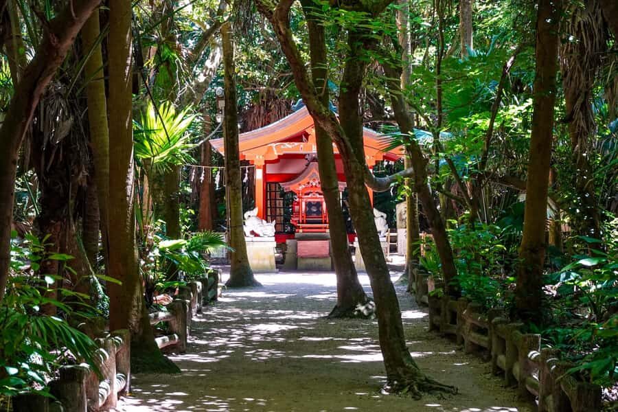 Miyazaki: Aoshima Mythology, Shrine Rituals & Coastal Rocks - What Makes This Tour Stand Out?