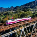 Miyazaki: Takachiho Gorge Private Tour with Guide - Exploring Takachiho Gorge: What to Expect