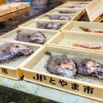 Mizuhashi Fishing Port Tokyo City Sightseeing - Is It Worth the Price?