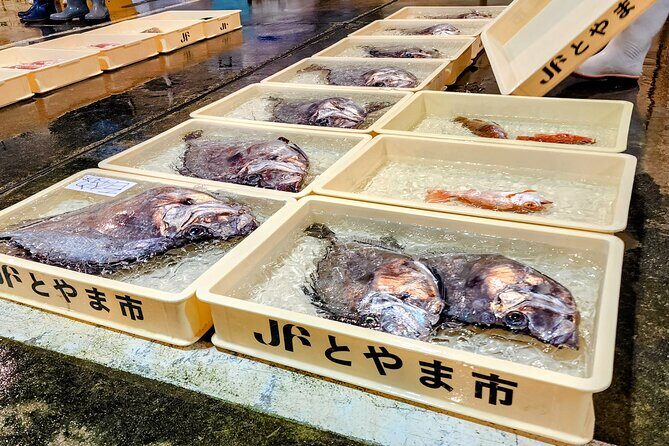 Mizuhashi Fishing Port Tokyo City Sightseeing - Is It Worth the Price?
