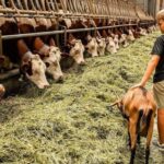 Moca: Farm Tour with Animal Feeding and Egg Collecting - Final Thoughts