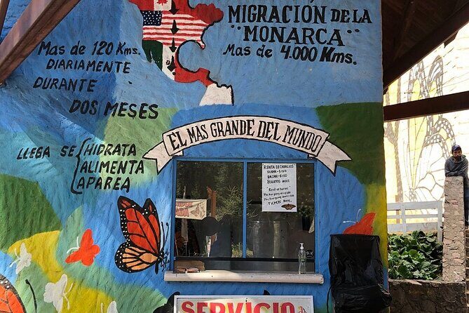 Monarch Butterflies Experience - What’s Included and How It Matters