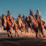 Mongolia: Thousand Camel Festival Tour 3 nights/4 days - Who Is This Tour Best For?