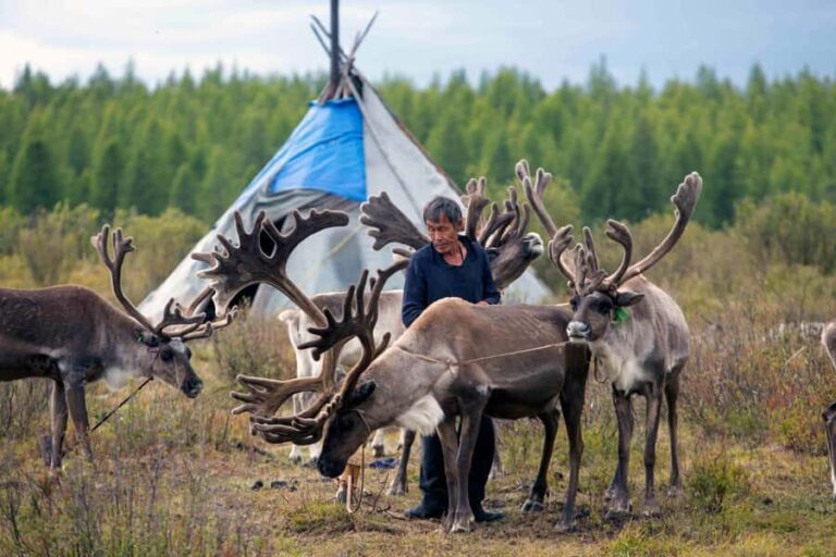 Mongolia: Tsaatan Tribe and Lake Khövsgöl 8-Day Tour - The Cultural Hotspot: Amarbaysgalant Monastery