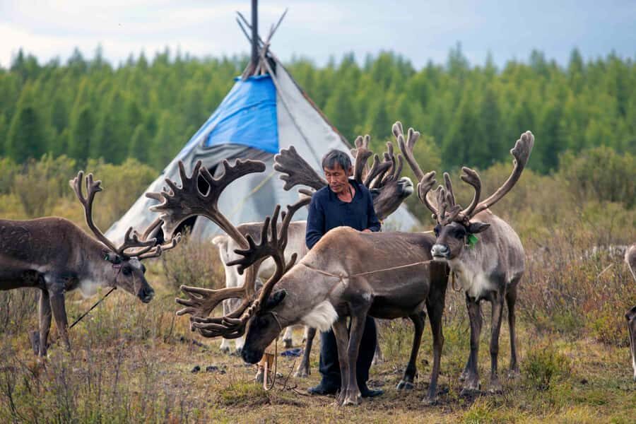 Mongolia: Tsaatan Tribe and Lake Khövsgöl 8-Day Tour - The Cultural Hotspot: Amarbaysgalant Monastery