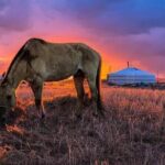 Mongolian Tour to Ancient Capital City of Mongol Empire - Practicalities and Value