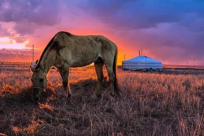 Mongolian Tour to Ancient Capital City of Mongol Empire - Practicalities and Value