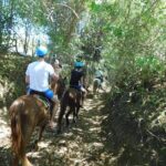 Monkey Encounter and Horse-Riding Tour in Puerto Plata - What’s Included and What’s Extra
