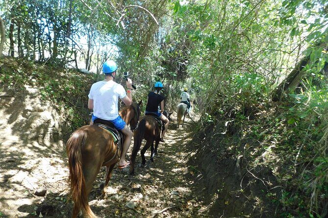 Monkey Encounter and Horse-Riding Tour in Puerto Plata - What’s Included and What’s Extra