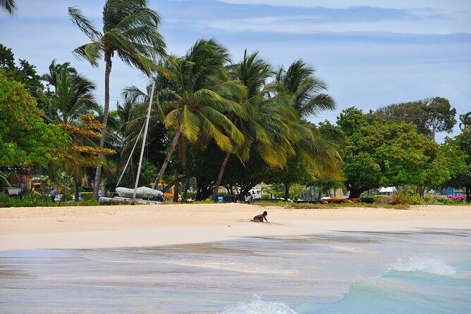 Monkey Feeding and Swimming with the Turtles Private Tour - Practical Considerations