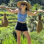 Monkey Forest, Temple, Waterfall and Rice Terrace in Ubud Tour - Who Should Book This Tour?