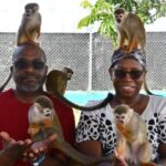 Monkey Home Puerto Plata Countryside Tour - The Itinerary: What to Expect