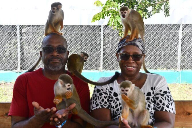 Monkey Home Puerto Plata Countryside Tour - The Itinerary: What to Expect