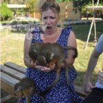 Monkey House VIP  An exclusive experience in Punta Cana - What to Expect from the Monkey House VIP Tour