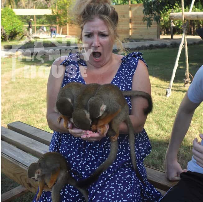 Monkey House VIP  An exclusive experience in Punta Cana - What to Expect from the Monkey House VIP Tour