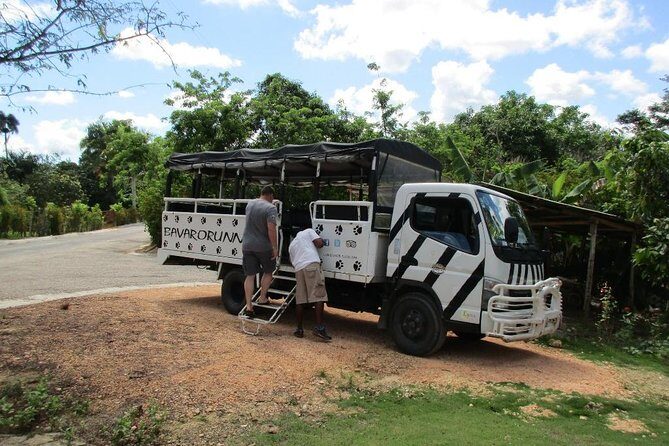 Monkeyland and Plantation Safari from La Romana - The Value of the Experience