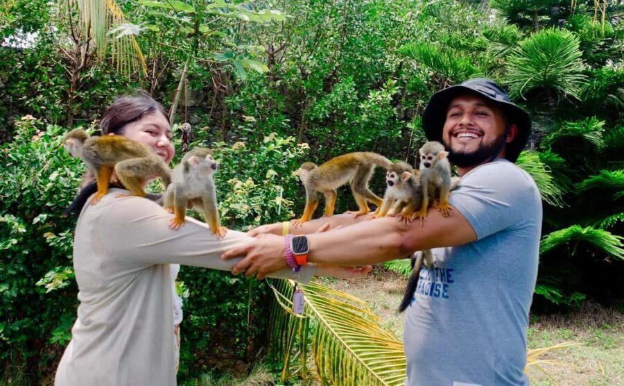 Monkeyland and Plantation Tour from Puerto plata - An Authentic Wildlife Encounter