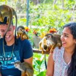 Monkeyland Puerto Plata - How the Itinerary Unfolds