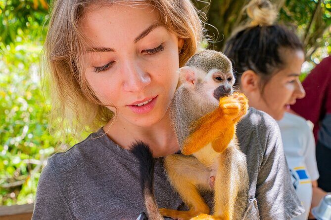 Monkeyland Samana Shared Adventure - The Breakdown of the Itinerary