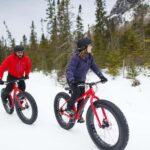 Mont-Saint-Bruno: Park Entry with Fat-bike and Snowshoeing - The Trails and Scenic Highlights
