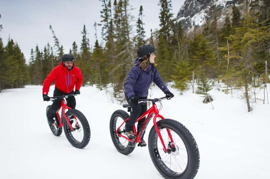 Mont-Saint-Bruno: Park Entry with Fat-bike and Snowshoeing - The Trails and Scenic Highlights
