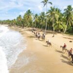 Montaña Redonda & Horseback Riding 2-in-1 Tour from Punta Cana - The Value Proposition