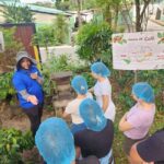 Monte Alto Coffee Tour: Jarabacoa Plantation Experience - The Itinerary Breakdown