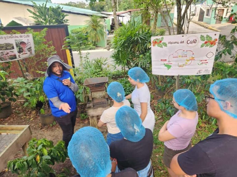 Monte Alto Coffee Tour: Jarabacoa Plantation Experience - The Itinerary Breakdown