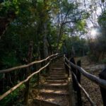 Monte Plata Waterfalls Private tour - Assessing the Value