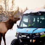 Montebello, QC: Parc Omega Guided Animal Feeding in an All-Terrain Vehicle - What to Expect During the Tour