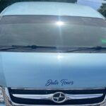 Montego Bay Airport and Hedonism II Private Shuttle - Who Should Consider This Transfer?