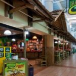 Montego Bay Airport Private Transfer to Montego Bay Hotels - Why This Transfer Offers Great Value