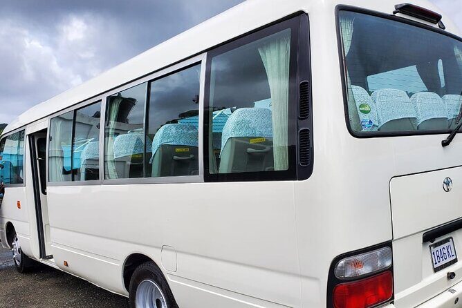 Montego Bay Airport Private Transfers - The Itinerary Breakdown: What Makes This Transfer Stand Out